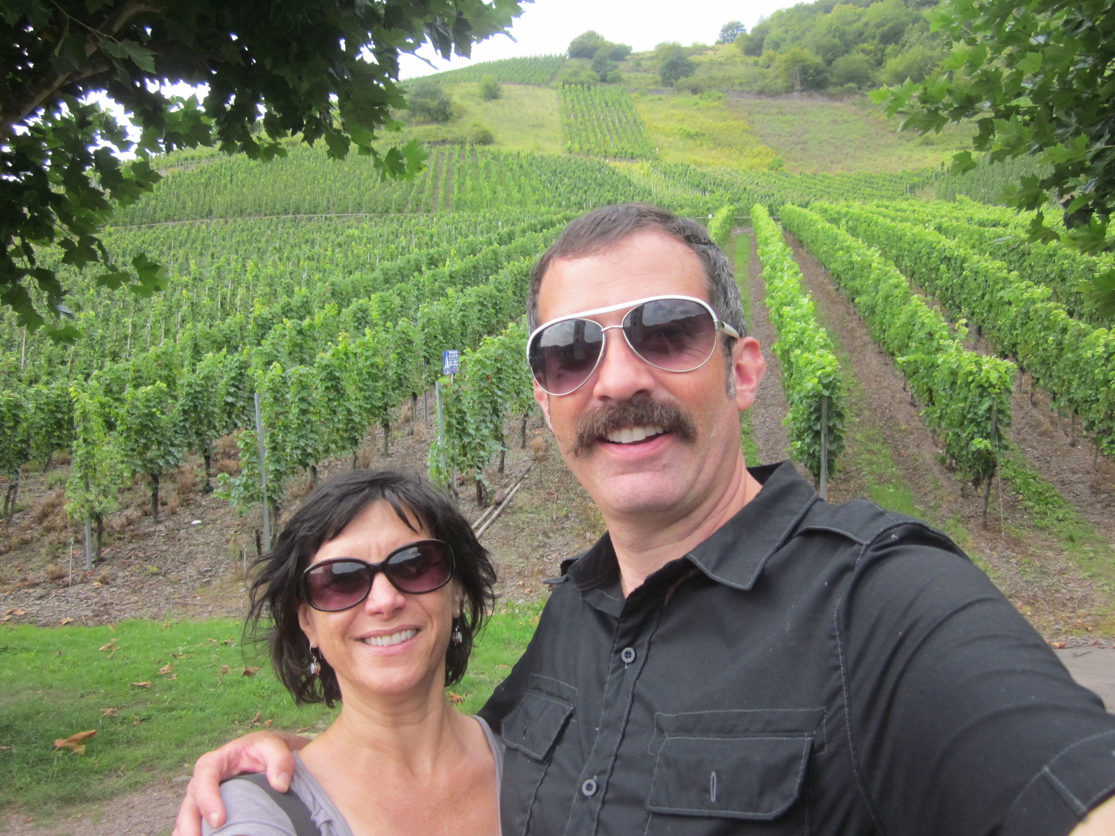 Club - Teutonic Wines